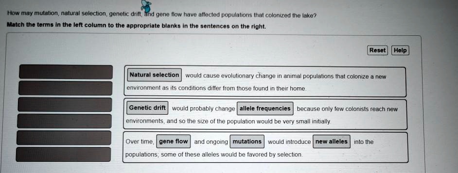 how may mutation natural seleclion genetic drifl and gere ilow have ...