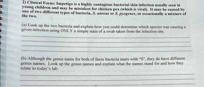 Clinical Focus: Impetigo is a highly contagious bacterial skin ...