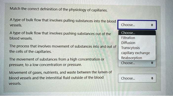 Match the correct defninition of the physiology of capillaries. A type ...