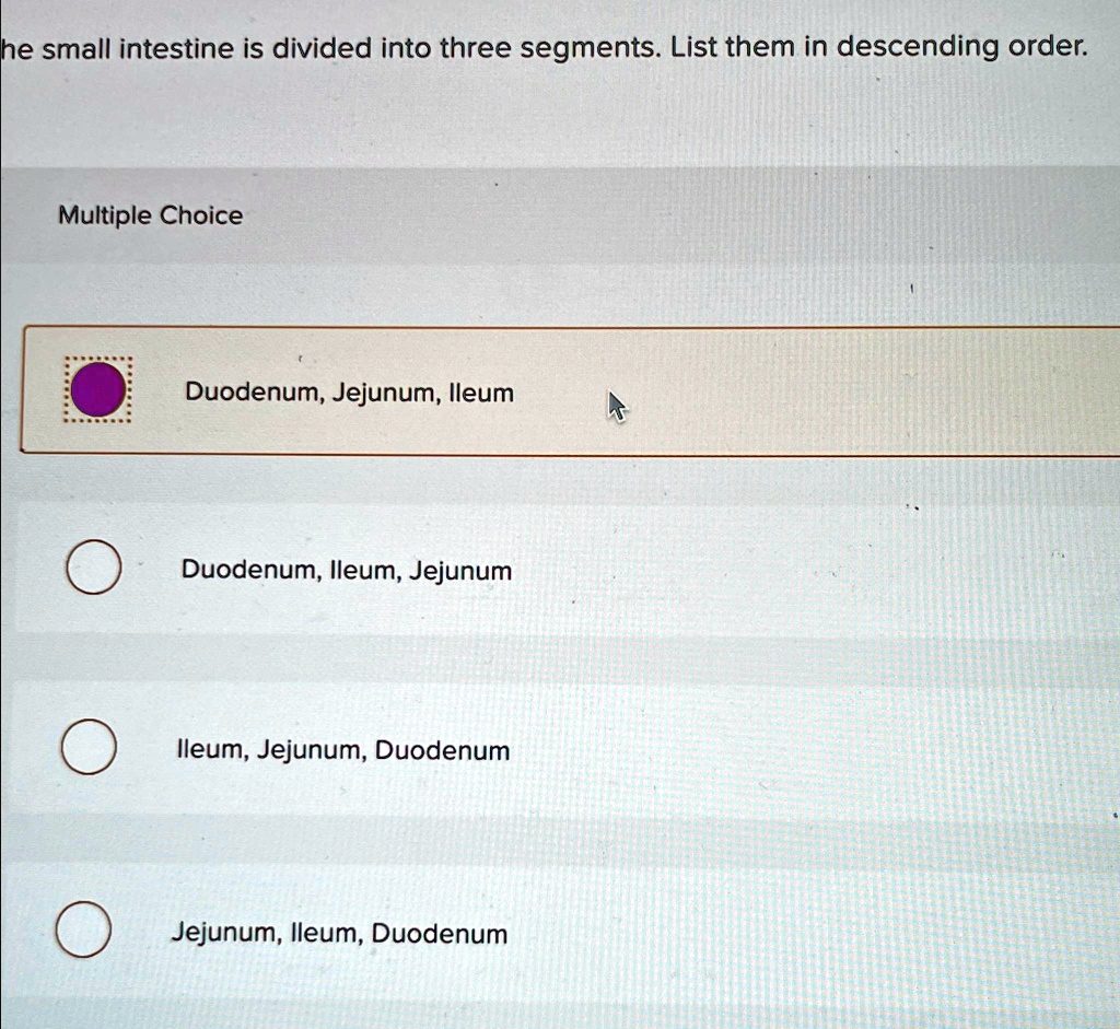 he small intestine is divided into three segments list them in ...