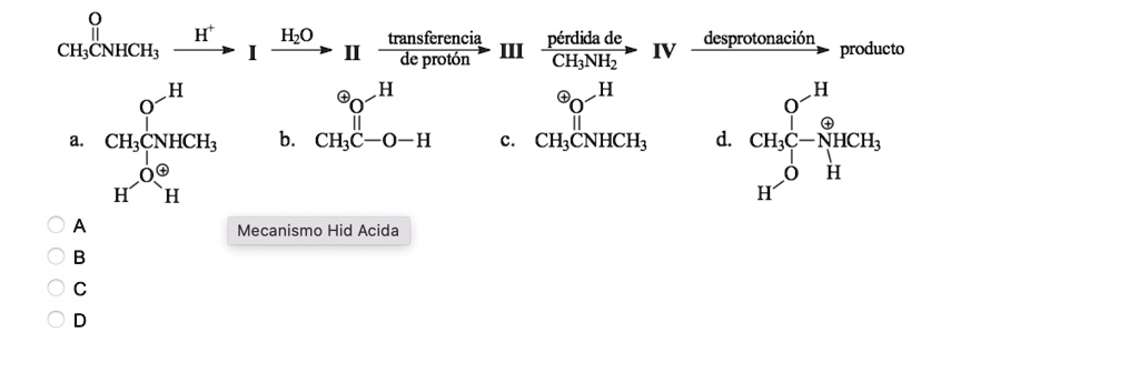 SOLVED: The mechanism of acid hydrolysis of N-methylacetamide appears ...