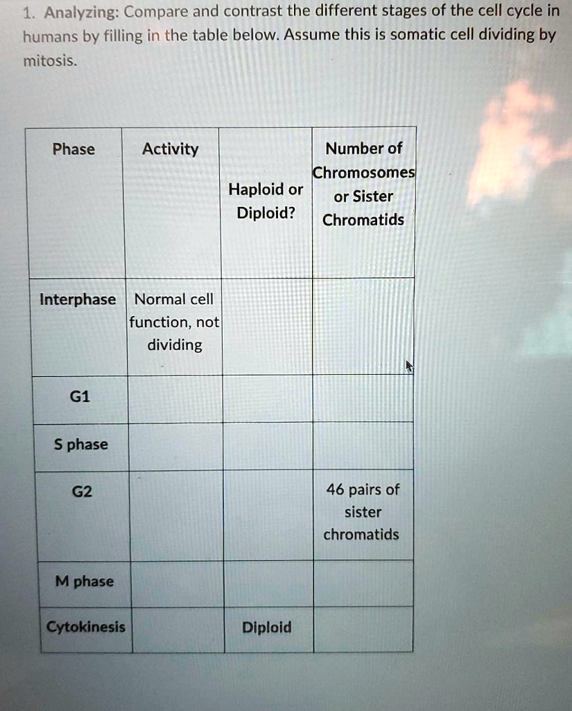 1. Analyzing: Compare and contrast the different stages of the cell ...