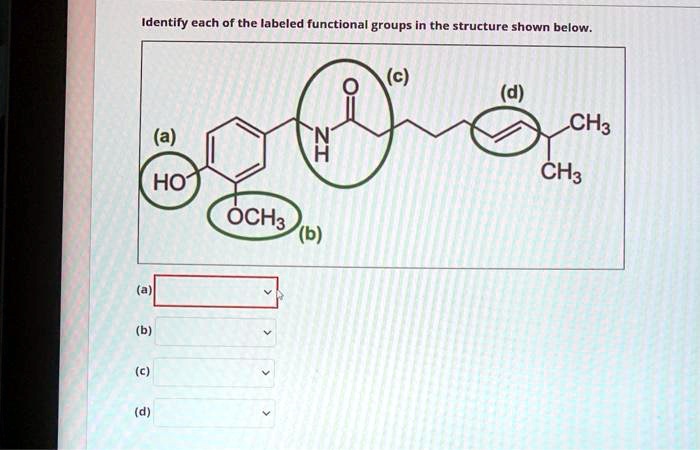 SOLVED: Identify each of the labeled functional groups in the structure shown below. (c) CH3 HO ...