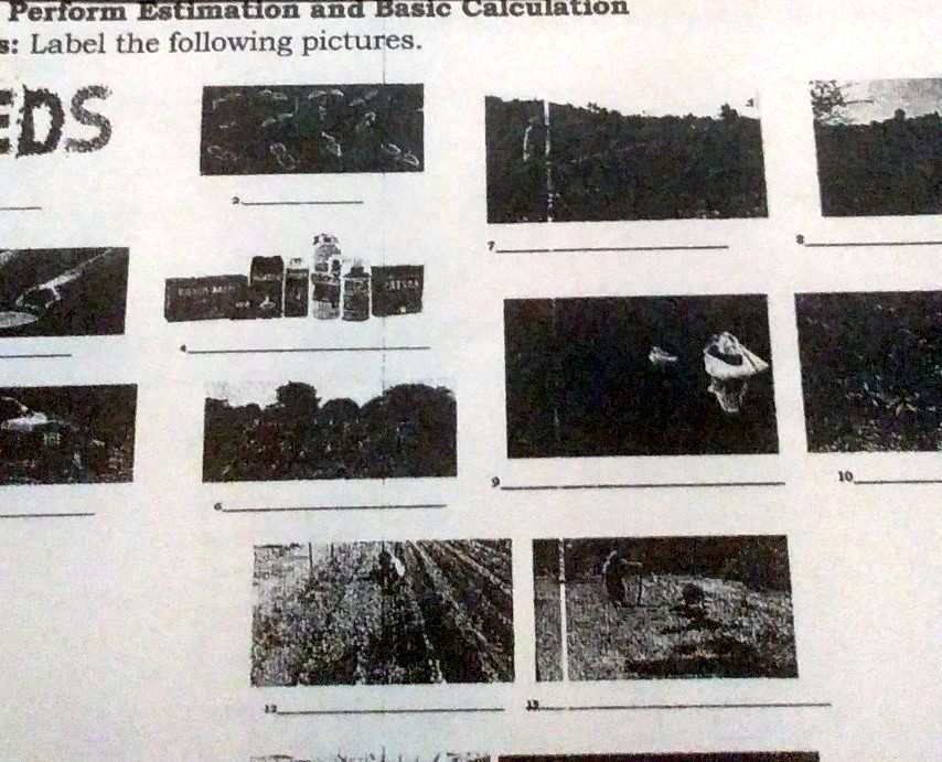 Solved Lesson 3 Perform Estimation And Basic Calculationdirections