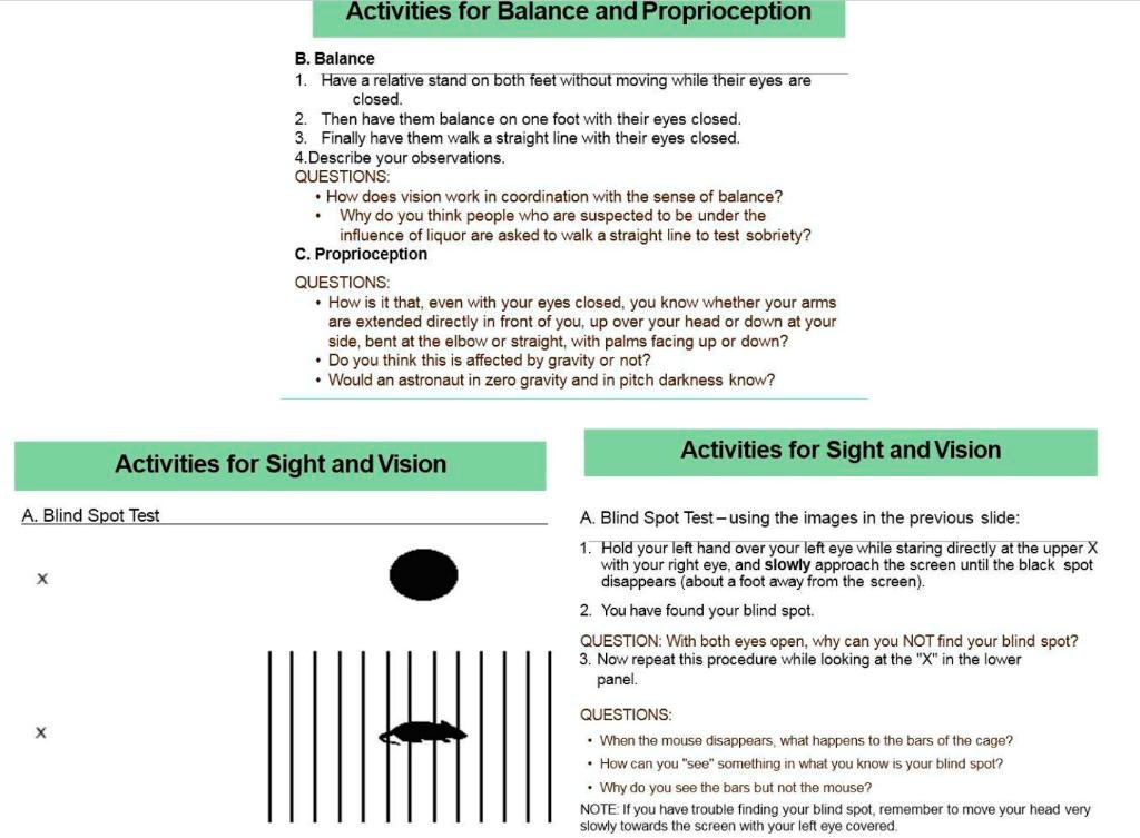 Activities for Balance and Proprioception B. Balance 1. Have a relative ...