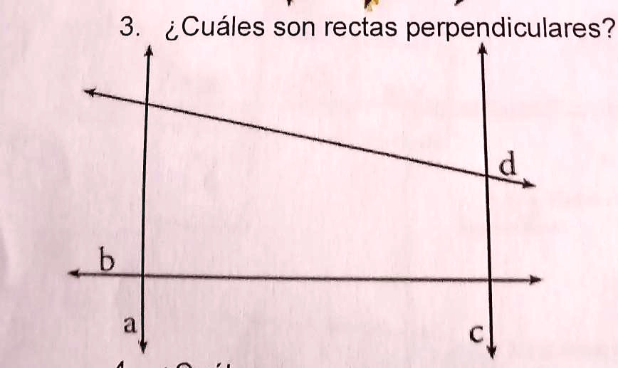 SOLVED: c cuáles son las rectas perpendiculares 3 . iCuáles son rectas ...