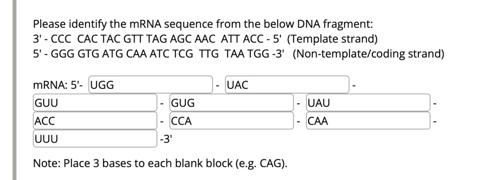 Please identify the mRNA sequence from the below DNA fragment: 3' - CCC CAC TAC GTT TAG AGC AAC ...