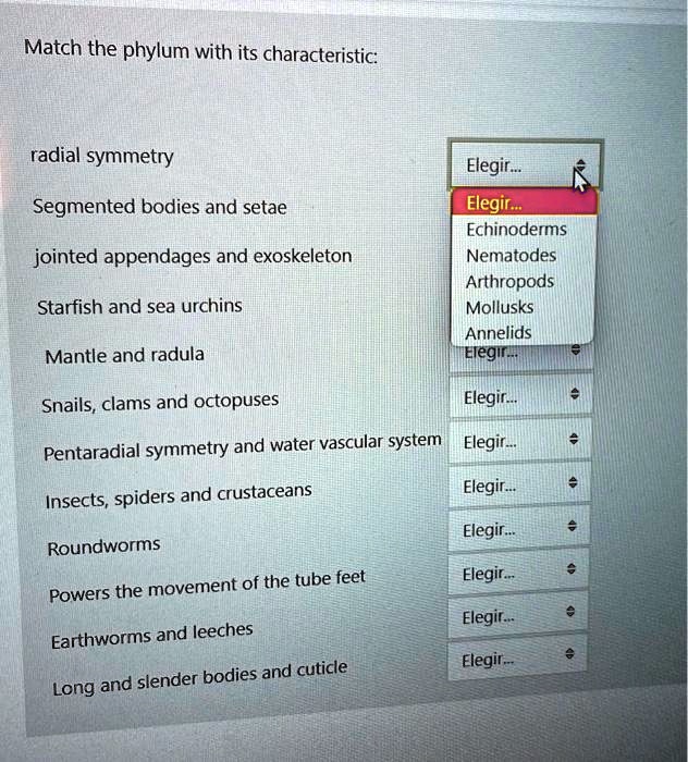 Solved Match The Phylum With Its Characteristic Radial Symmetry Echinoderms Nematodes