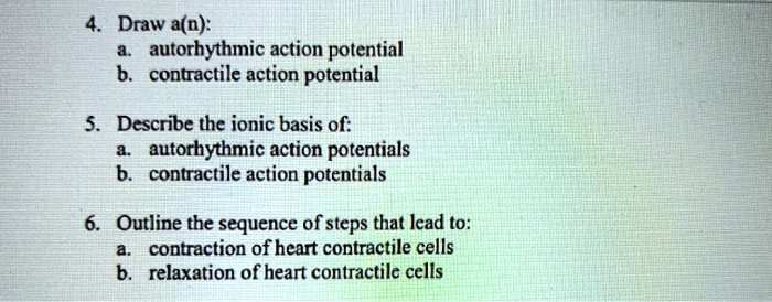 draw an autorhythmic action potential contractile action potential ...
