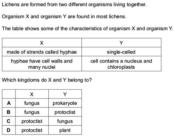 SOLVED: Which kingdoms do X and Y belong to? Lichens are formed from ...