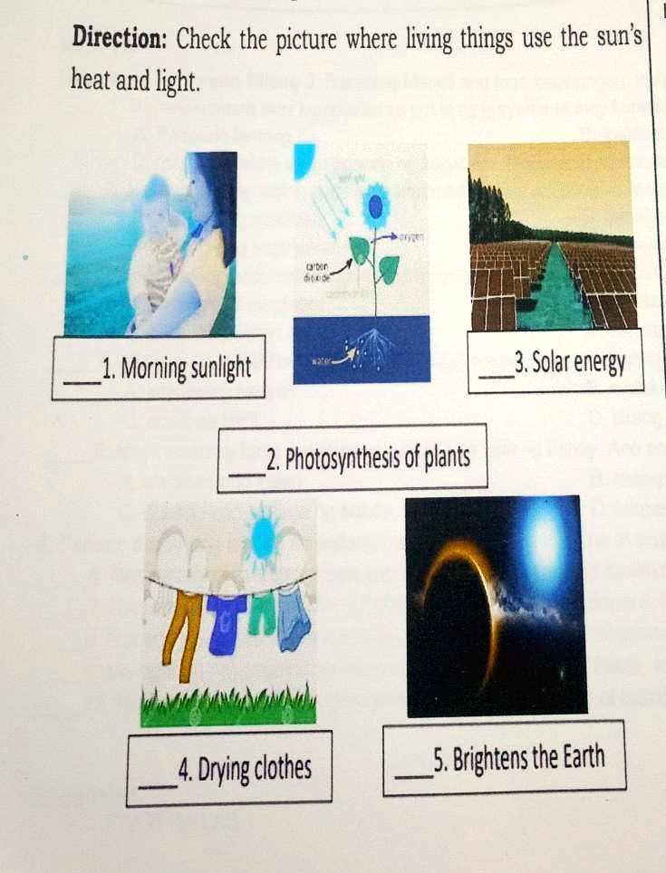 Direction: Check the picture where living things use the sun's heat and ...