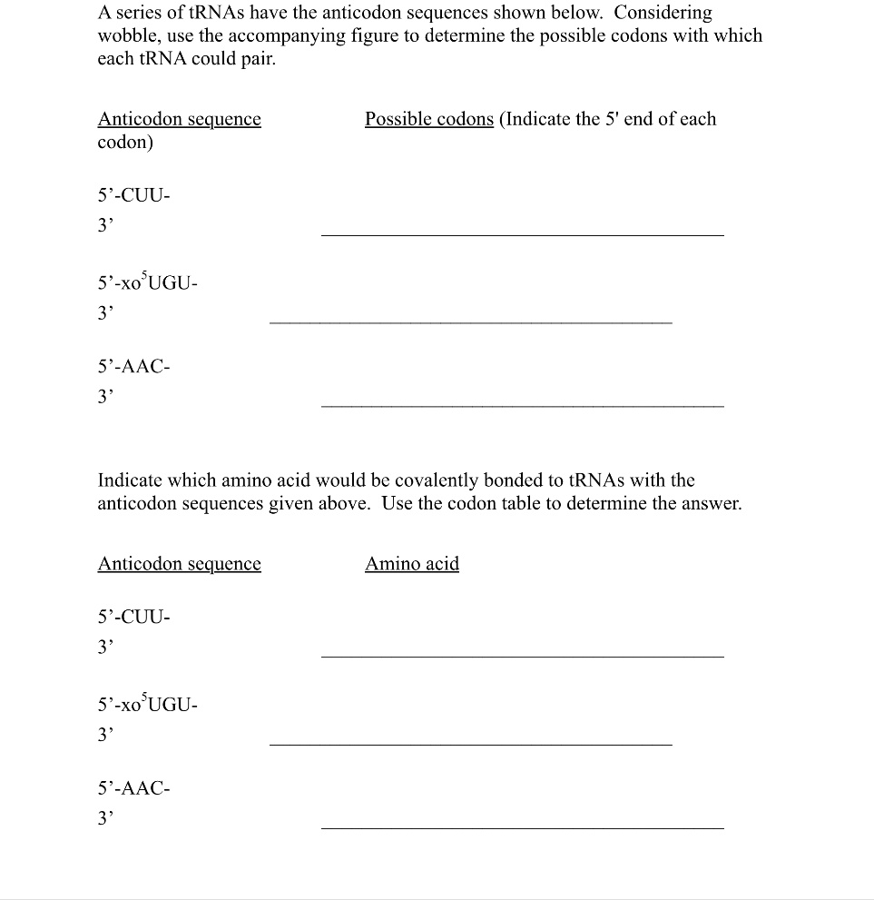 SOLVED: series of tRNAs have the anticodon sequences shown below: Considering wobble; use the ...
