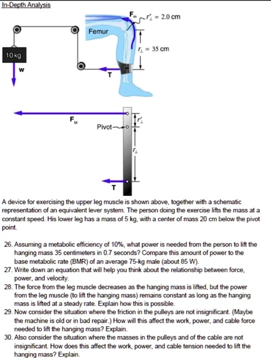SOLVED: A device for exercising the upper leg muscle is shown above ...