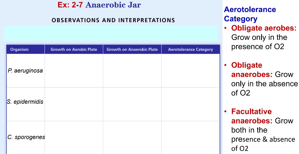 ex 2 7 anaerobic jar aerotolerance observations and interpretations ...