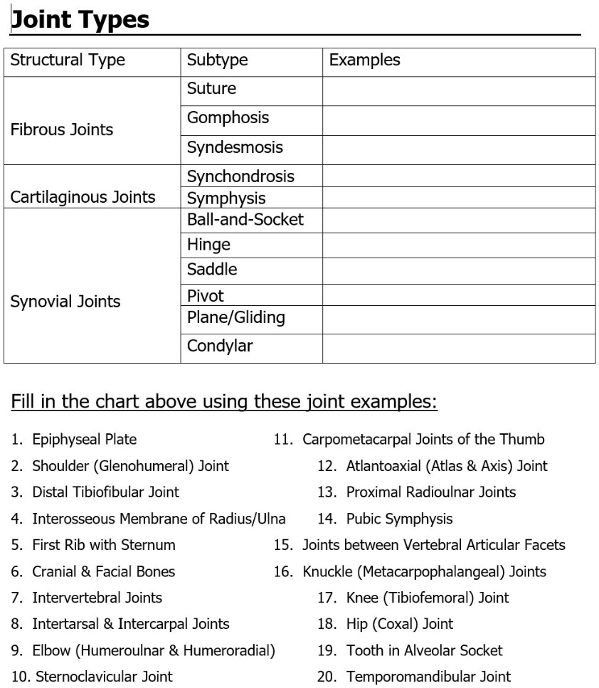 Joint Types Structural Type Subtype Examples Suture Gomphosis Fibrous ...