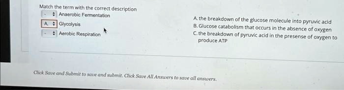 Solved Match The Terin Wlh The Correct Description Anaeroblc