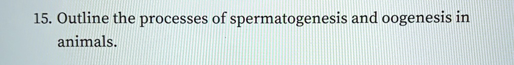 15. Outline the processes of spermatogenesis and oogenesis in animals.
