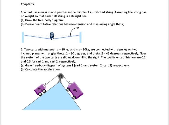 Chapter 5 1. A bird has a mass m and perches in the middle of a ...