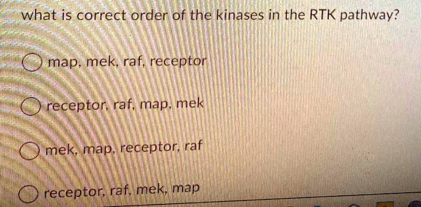 SOLVED: What is the correct order of the kinases in the RTK pathway ...