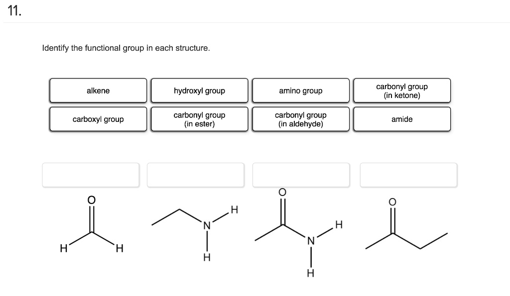 11. Identify the functional group in each structure. alkene hydroxyl ...