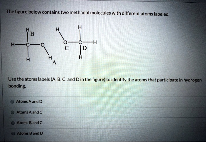 SOLVED: The figure below contains two methanol molecules with different ...