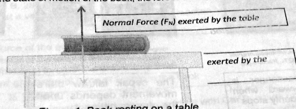 SOLVED: 'a) What is the object of interest in the diagram above? Normal ...