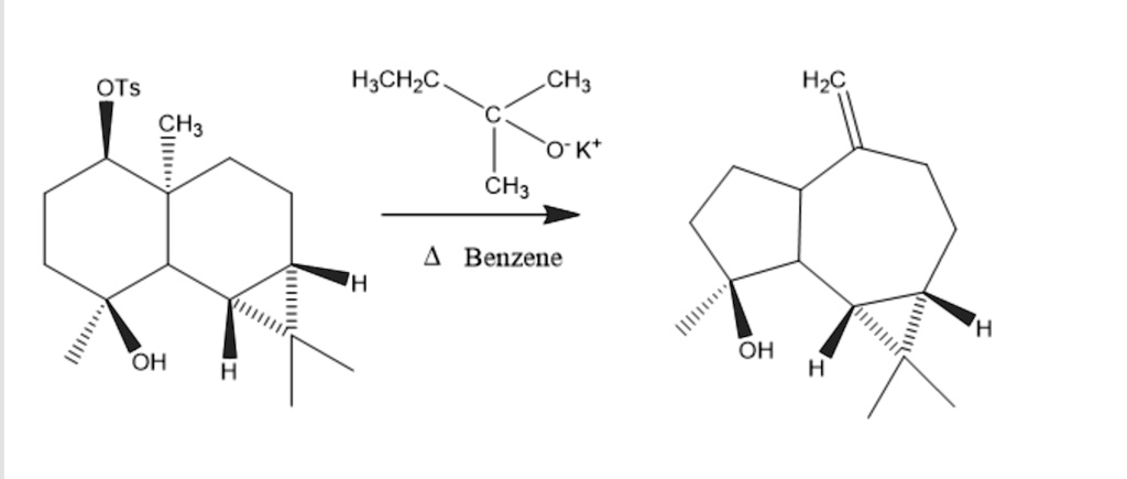 SOLVED: OTs CH3 H;CHzC CH3 HzC 0 Kt CH3 Benzene OH OH