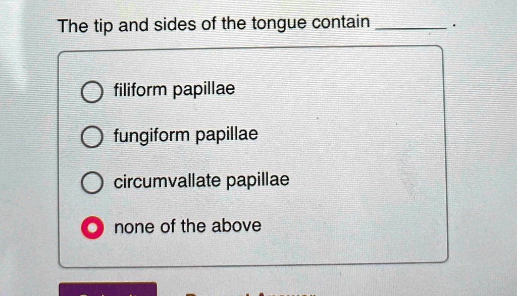 The tip and sides of the tongue contain filiform papillae fungiform ...