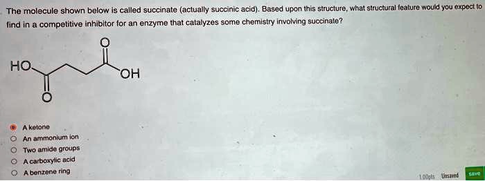 SOLVED: The molecule shown below is called succinate (actually succinic ... SOLVED: The molecule shown below is called succinate (actually succinic ...