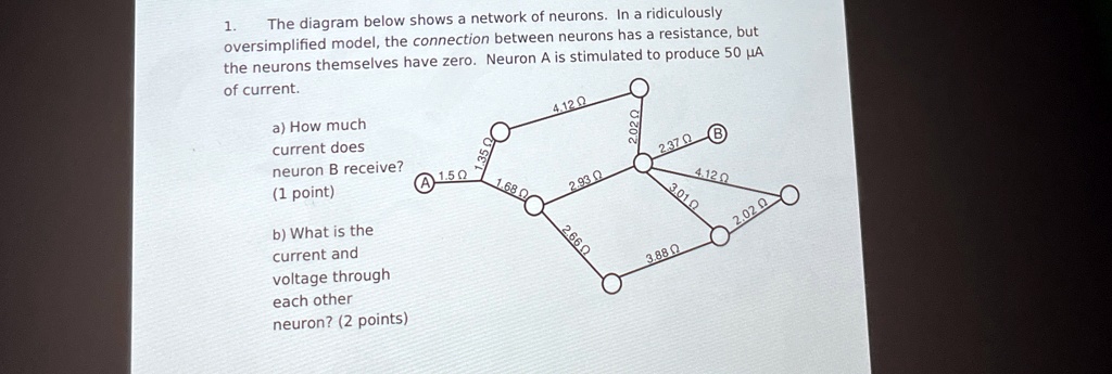 1 the diagram below shows a network of neurons in a ridiculously oversimplified model the ...