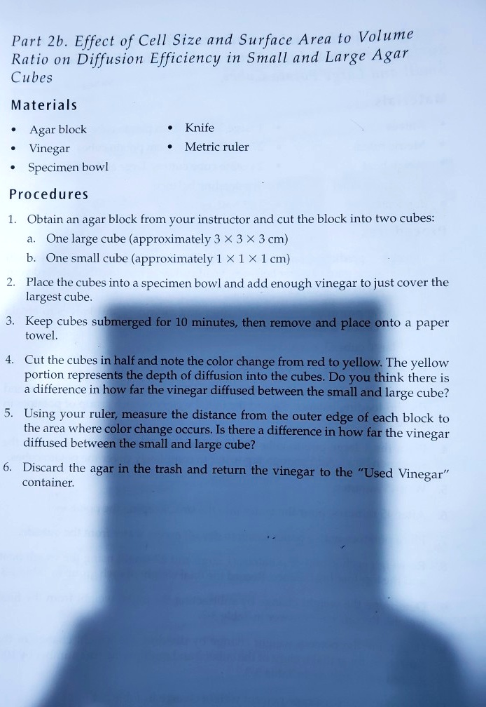 Part 2b effect of cell size and surface area to volume ratio...