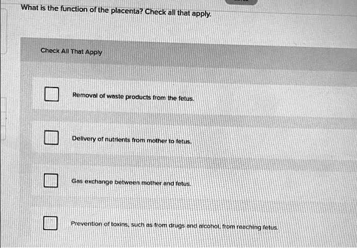 What is the function of the placenta? Check all that apply. Check All ...