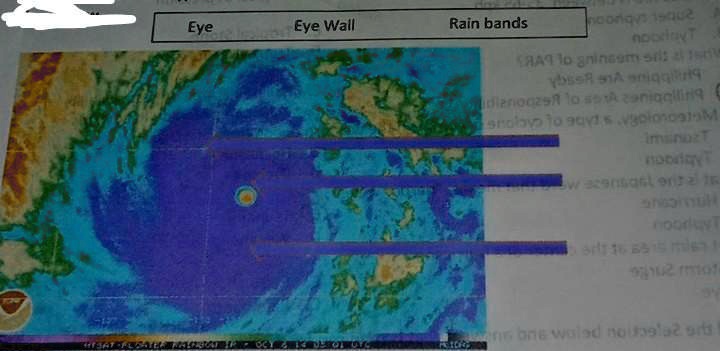 SOLVED: Direction: Label the parts of a typhoon and state the ...