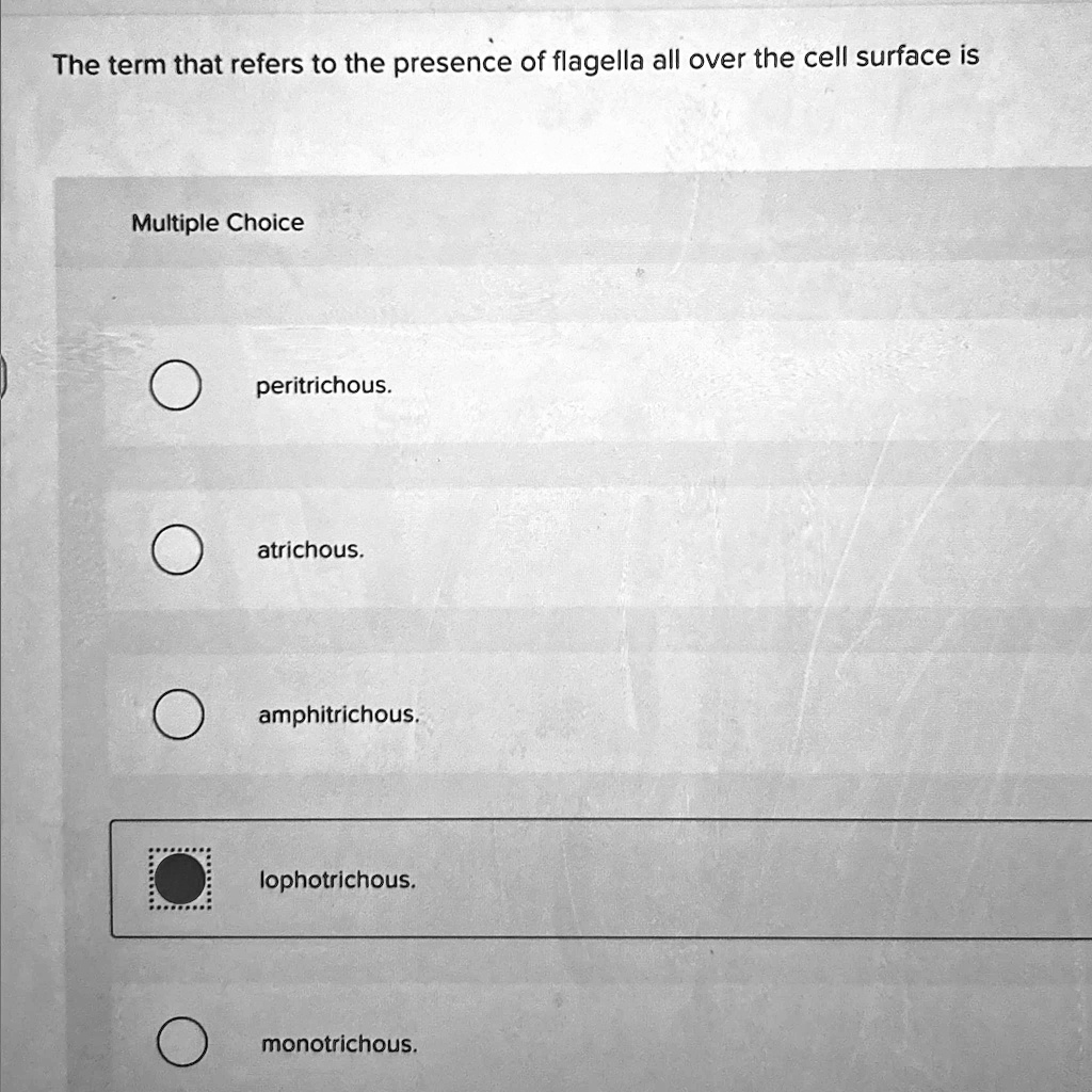 The term that refers to the presence of flagella all over the cell ...