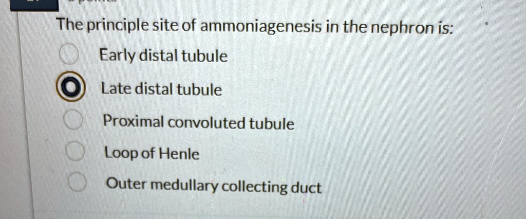 The principle site of ammoniagenesis in the nephron is: Early distal ...