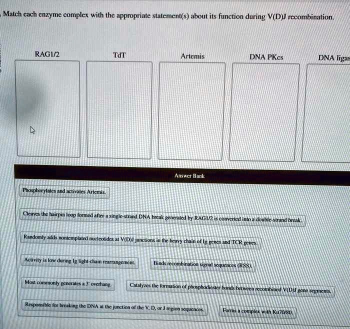 Match each enzyme complex with the appropriate statement(s)...