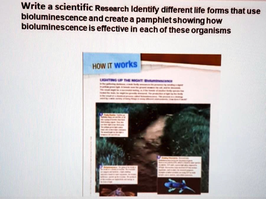 SOLVED: Write a scientific research to identify different life forms ...