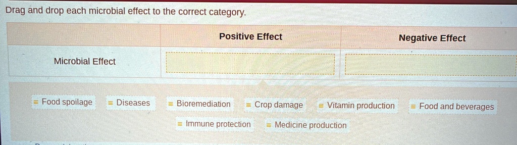 Drag and drop each microbial effect to the correct category. Microbial ...