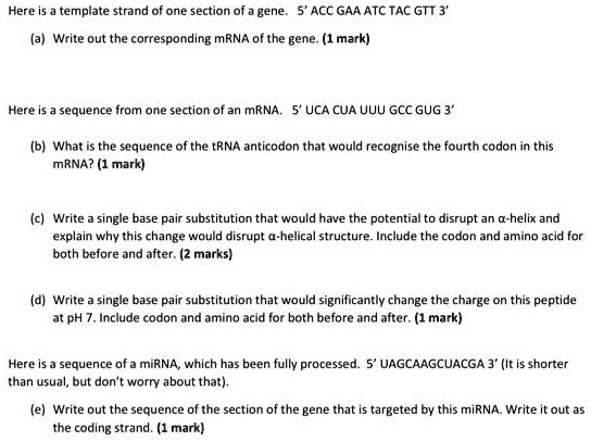 SOLVED: Here is a template strand of one section of a gene. 5'ACC GAA ...