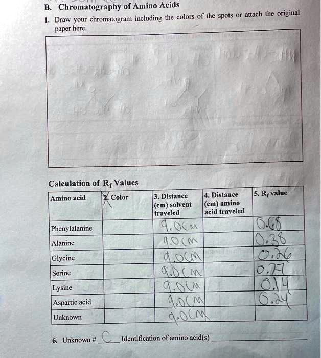 SOLVED: Chromatography of the Amino Acids Chromatography of Amino Acids ...