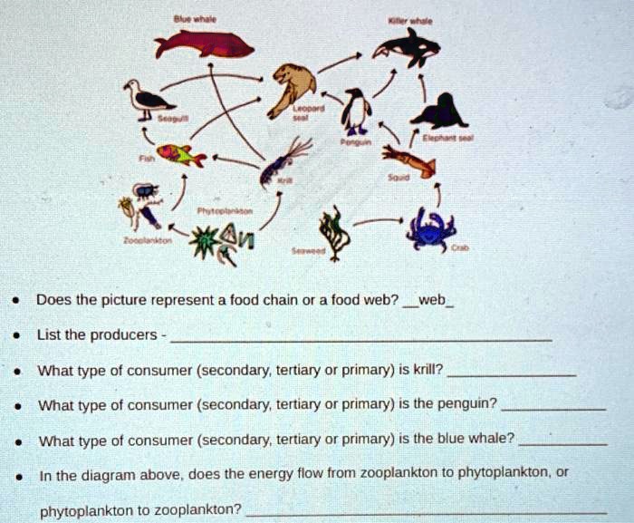 SOLVED: Does ihe picture represent a food chain or a food web? web List ...