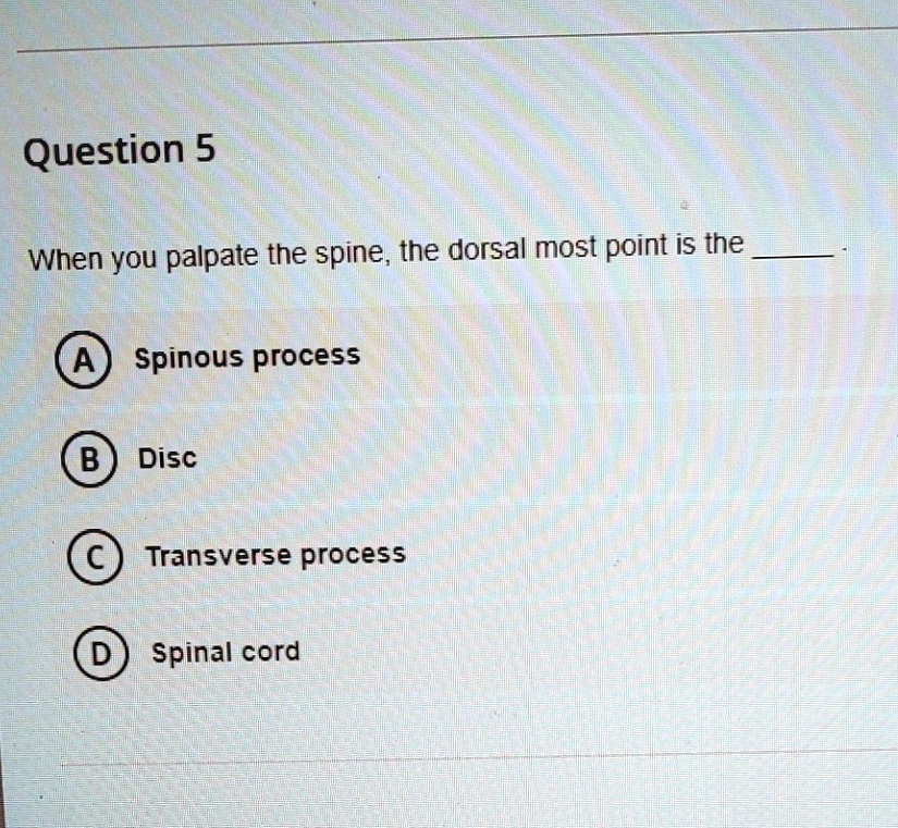 Question 5 When you palpate the spine, the dorsal most point is the A ...