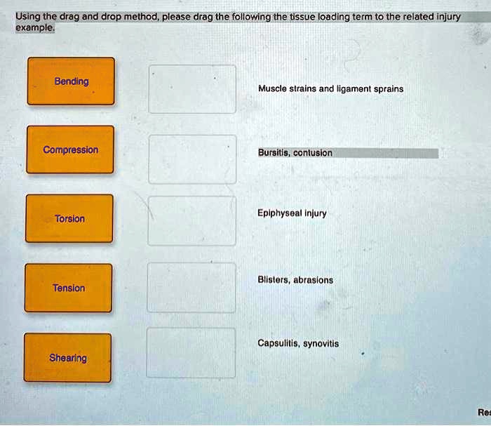 SOLVED: Using the drag and drop method, please drag the following ...