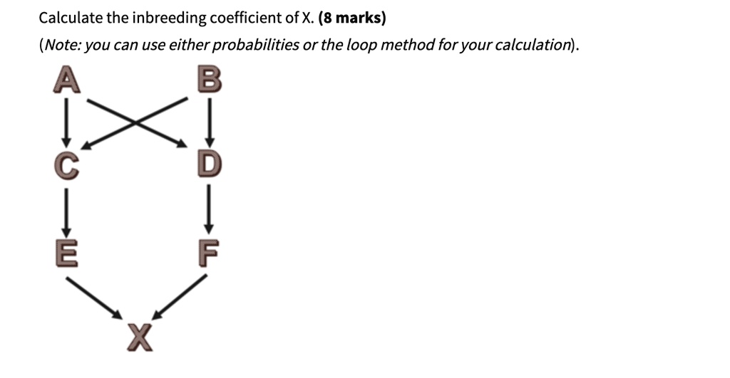 SOLVED: Calculate the inbreeding coefficient of X. (8 marks) (Note: you can use either ...