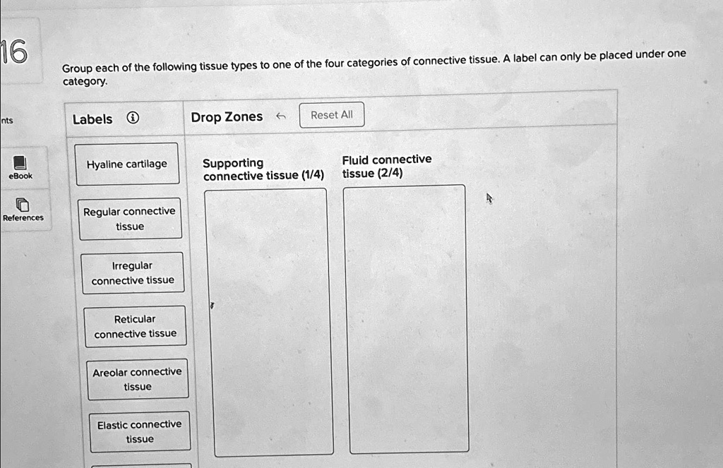 16 Group each of the following tissue types to one of the four ...