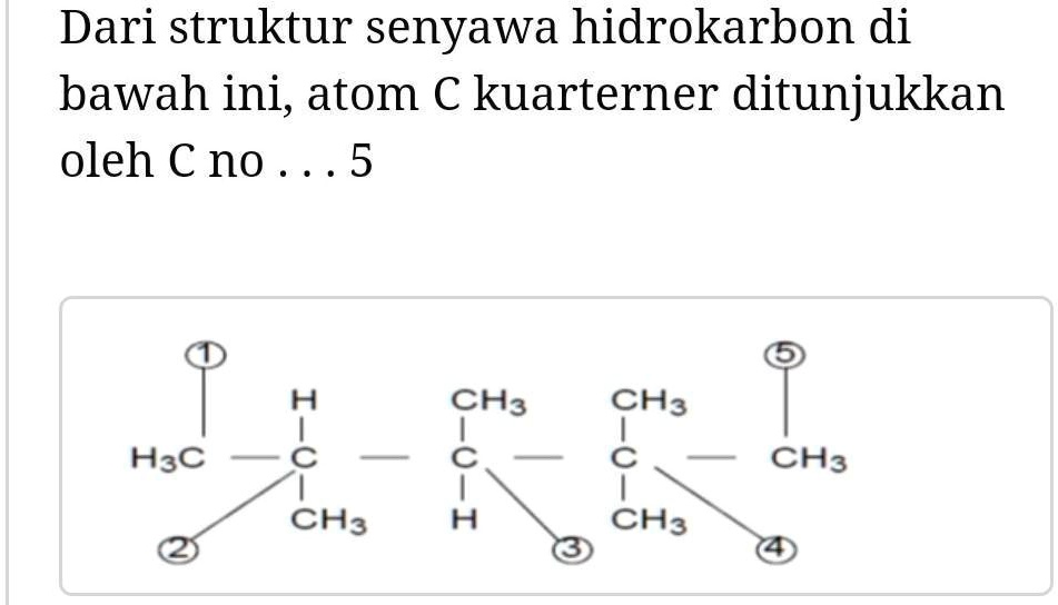 SOLVED: tolong bantu ya kimia nya Dari struktur senyawa hidrokarbon di ... SOLVED: tolong bantu ya kimia nya Dari struktur senyawa hidrokarbon di ...
