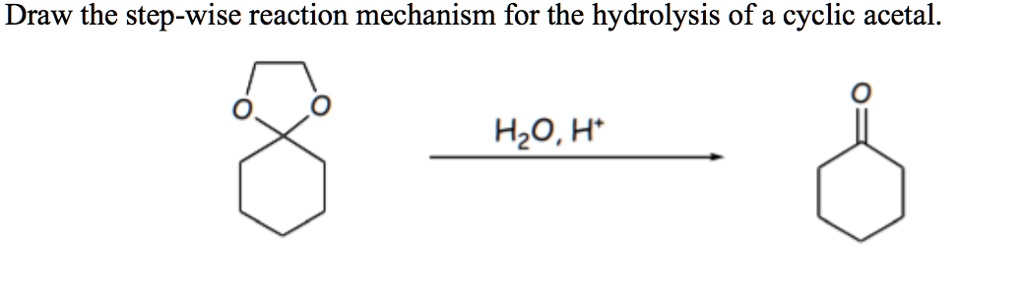 draw the step wise reaction mechanism for the hydrolysis of a cyclic ...