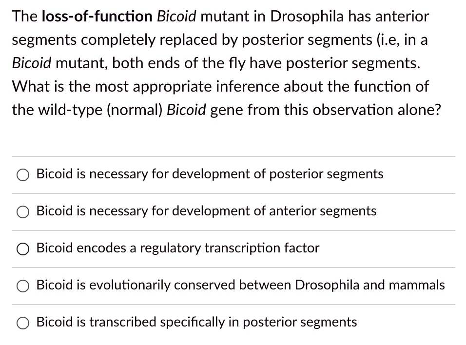 SOLVED: The loss-of-function Bicoid mutant in Drosophila has anterior ...