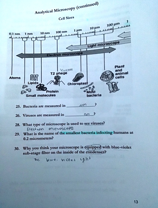 SOLVED: (continued) Analytical Microscopy Cell Sizes oum Ium lonn JinnI ...