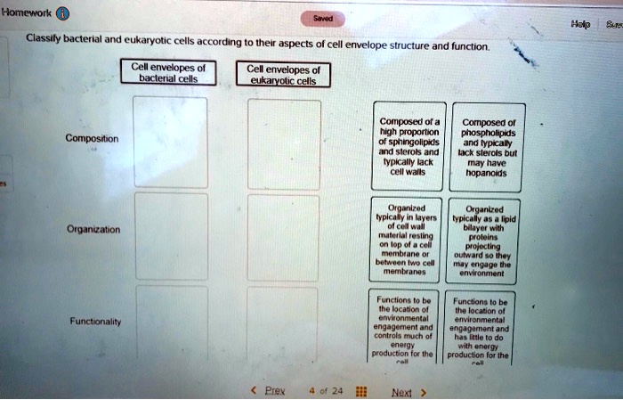 SOLVED: Homework Classity bacterial and eukaryotic cells according ...